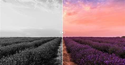 Wp Before After Slider Pro Code Canel