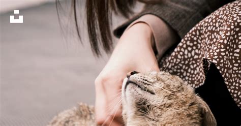 흑인과 백인 물방울 무늬 드레스를 입은 여자 갈색 줄무늬 고양이를 들고 사진 Unsplash의 무료 난징南京 이미지