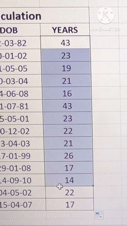 Age Calculation In Excel Viralshorts Exceltips Computer Excel Youtube