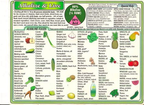 Color Wheel Of Fruits And Vegetables Alkaline Foods Alkaline Foods
