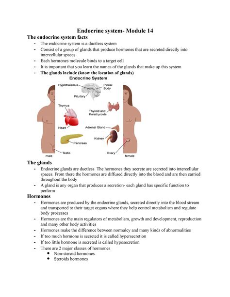 Endocrine System Module 14 Endocrine System Module 14 The Endocrine System Facts The