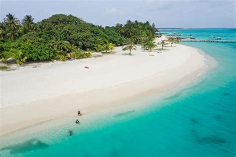 Fulidhoo Island Guide Shark And Stingray Beach In Maldives