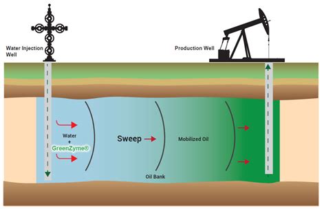 Enzyme Enhanced Oil Recovery Eeor For Waterflooding Operations