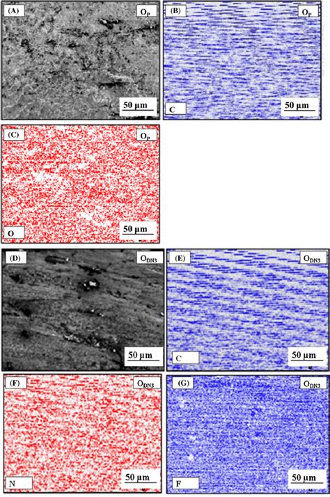 Scanning Electron Microscopy Micrographs And Energy Dispersive X Ray