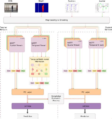 Distilled Mid Fusion Transformer Networks For Multi Modal Human Activity Recognition Paper And