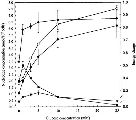 The Effect Of Glucose On The Intracellular Adenylate Nucleotide Download Scientific Diagram