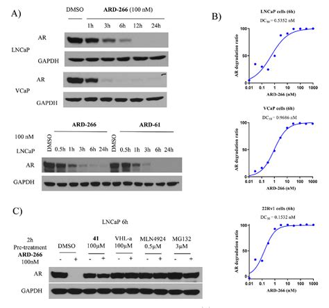 Figure 1 From Discovery Of Highly Potent And E ﬃ Cient Protac Degraders