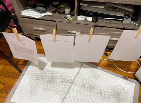 K2 Jail Paper K2 Paper Shop K2 Spray On Paper