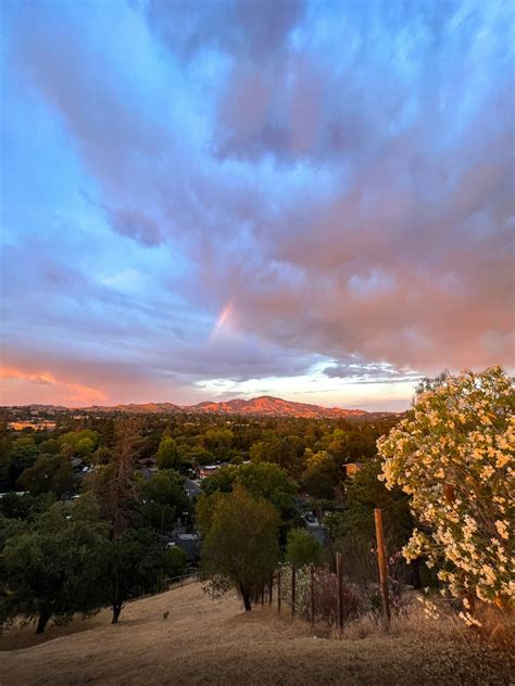 나무와 흐린 하늘이있는 풍경 사진 Unsplash의 무료 자연 이미지