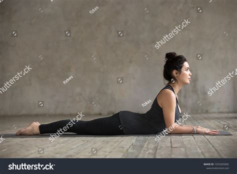 imágenes de Sphinx pose Imágenes fotos y vectores de stock Shutterstock