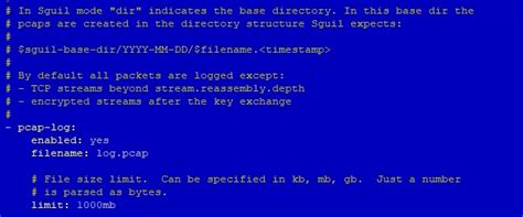 Suricata And Mikrotik Help Suricata