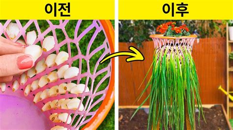 집에서 신선한 음식을 키우는 방법 🌱🏡 정말 효과적인 원예 팁 Youtube