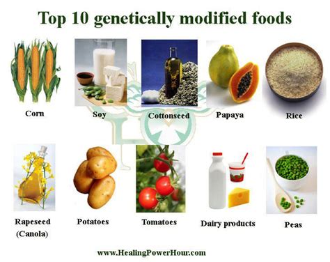 The Origins Of Gmos Ap Environmental Science