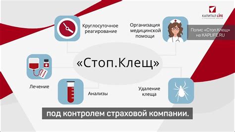 Купить полис "Стоп.Клещ" онлайн на KAPLIFE.RU - YouTube