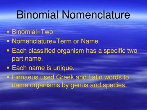 Classification Ppt Download