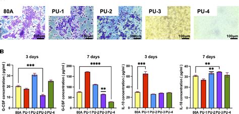 Figure 8 From Performance Characterization And Biocompatibility