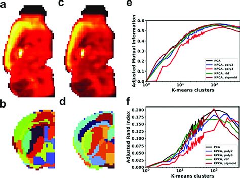 Linear And Nonlinear Pca Generate Equivalent Representations Of Anatomy