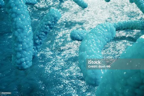 3d 그림 병원 성 바이러스 호스트 유기 체에 감염을 일으키는 바이러스 성 질병 전염병입니다 바이러스 추상적인 배경입니다 바이러스 박테리아 세포 감염 유기 체입니다 3차원