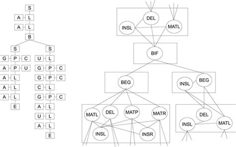 Covariance Model Covariance Model Ordered Binary Tree Right And The