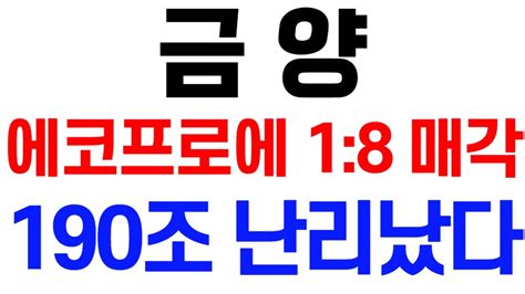 금양 에코프로에 18 매각 190조 난리났다 주주 필수 시청 영상 금양 금양전망 금양주가전망 금양주식전망 금양대응전략 박순혁 리튬 Youtube