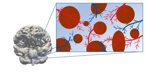 Example Of Infinitesimal Volume Element In Which We Consider The Download Scientific Diagram
