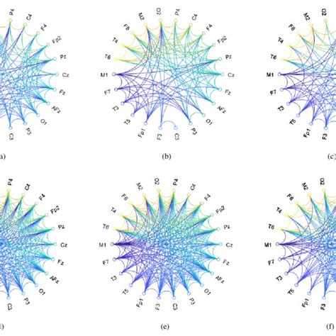 Brain Connectivity Maps Of Patients 1 3 And 6 Obtained Through Plv For Download Scientific