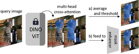 Figure 1 From Distilling Self Supervised Vision Transformers For Weakly Supervised Few Shot