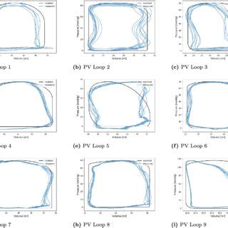 Measured And Modeled PV Loops For The Patient Group Download Scientific Diagram