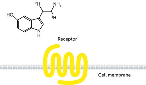 Gpcr Research Reagents Revvity