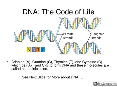 Ppt Module 1 Introduction To Bioinformatics Powerpoint Presentation