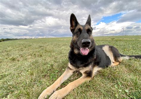 Suzie Q Love Story Ellies Rainy Day Fund