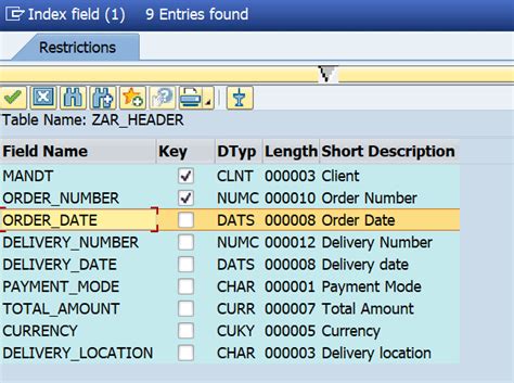 Comprehensive Guide To SAP Indexing Creation Types And Best Practices Including Step By Step