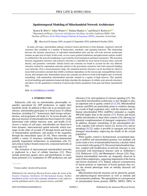 Pdf Spatiotemporal Modeling Of Mitochondrial Network Architecture