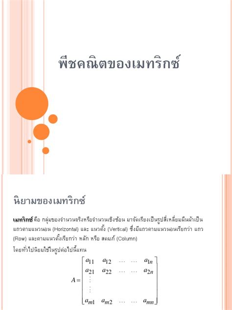 1 Matrix Pdf