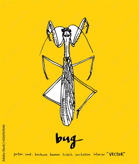 Vetor 곤충 일러스트 손으로 그린 곤충 스케치 Do Stock Adobe Stock Vetor 곤충 일러스트 손으로 그린 곤충 스케치 Do Stock Adobe Stock