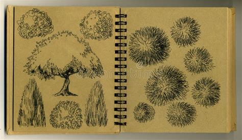 Trees And Bushes In A Sketchbook Sketches In A Notebook Stock Illustration Illustration Of