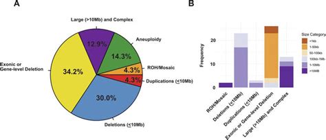 Using Exome Sequencing To Analyze Copy Number Variants Can Increase Diagnostic Yield