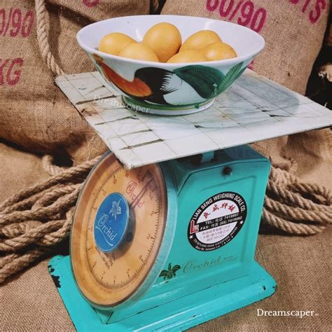 Vintage Weighing Scale Orchid Analog Singapore Props Rental