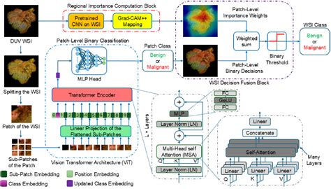 [논문 리뷰] Breast Cancer Classification In Deep Ultraviolet Fluorescence Images Using A Patch Level