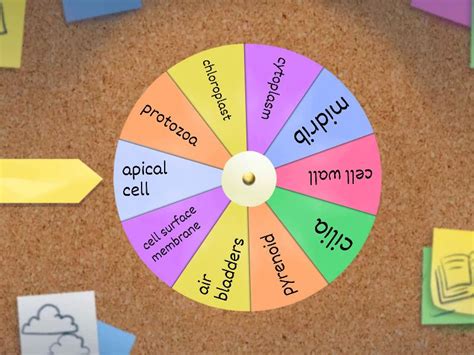 Biology Random Wheel