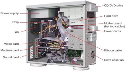 Computer Systems Rely On Which Of The Following Components