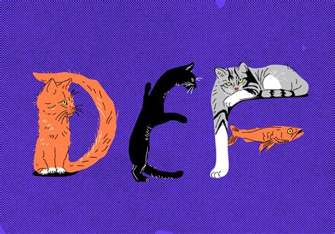 Функции Def в Python описание какие бывают и как их применять