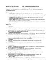 Exploring Prokaryotic Vs Eukaryotic Cells Similarities And Course Hero