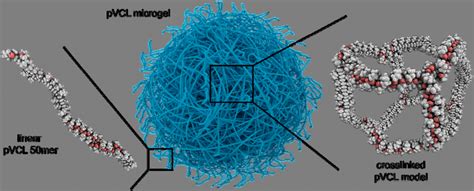 Decomposition Of A Microgel Into Atomistic Models For The Shell And Download Scientific Diagram