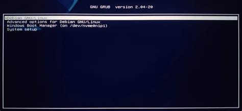 How To Dual Boot Debian 11 And Windows 11 GetLabsDone