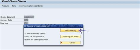 Process Of Reversing The Clearing Document In Sap