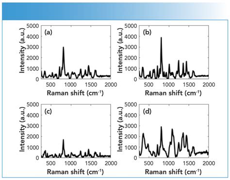 Characterization Of Street Drugs Using Handheld Fourier Transform Raman