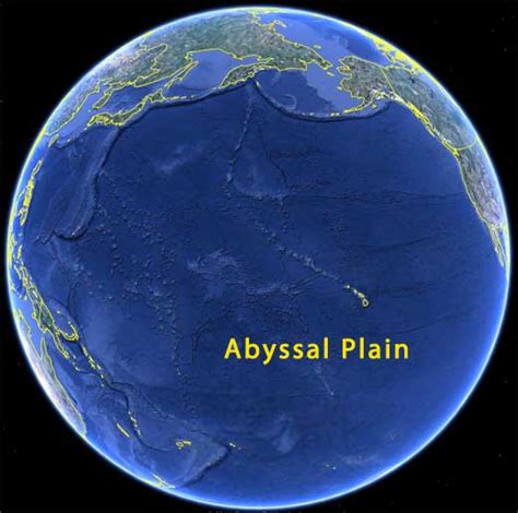 Abyssal Plain Ocean Floor Sea Bed