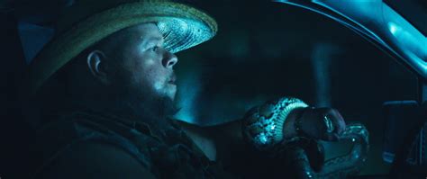 The Python Hunt To Be Formed