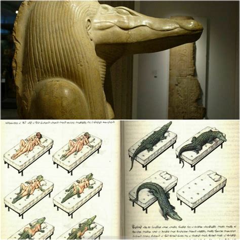 تئوری جالب سکس و کروکودیل در مصرباستان🐊